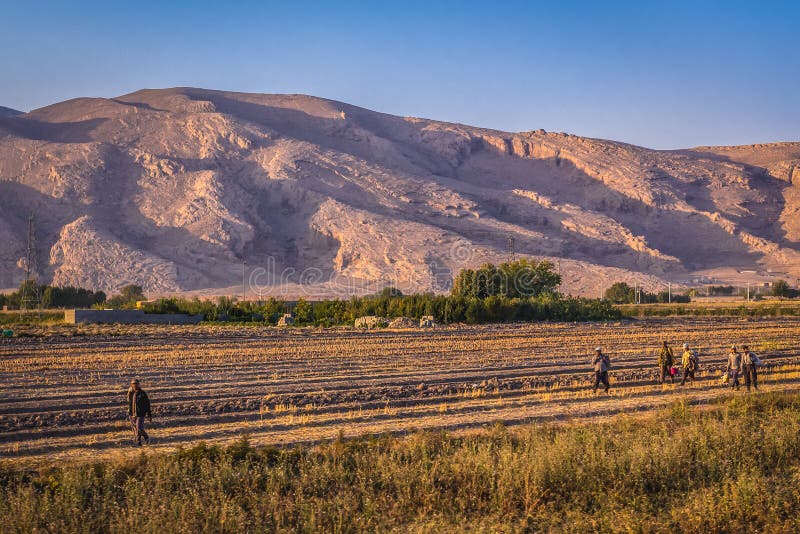 Fields in Iran editorial photography. Image of stubblefield - 123981652