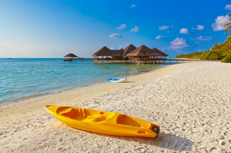 Maldiverna strand arkivfoto. Bild av bakgrund, kust, resa - 81127158