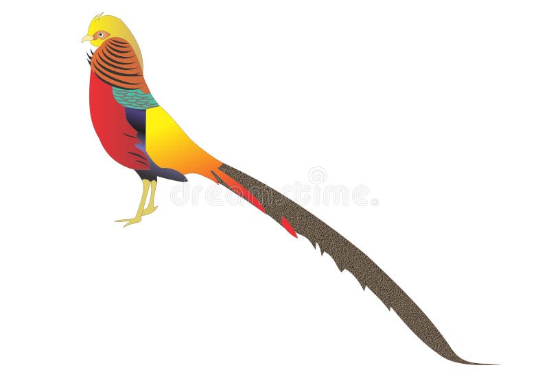 Fasan Stock Illustrationen, Vektoren, & Kliparts - 2,223 Stock ...