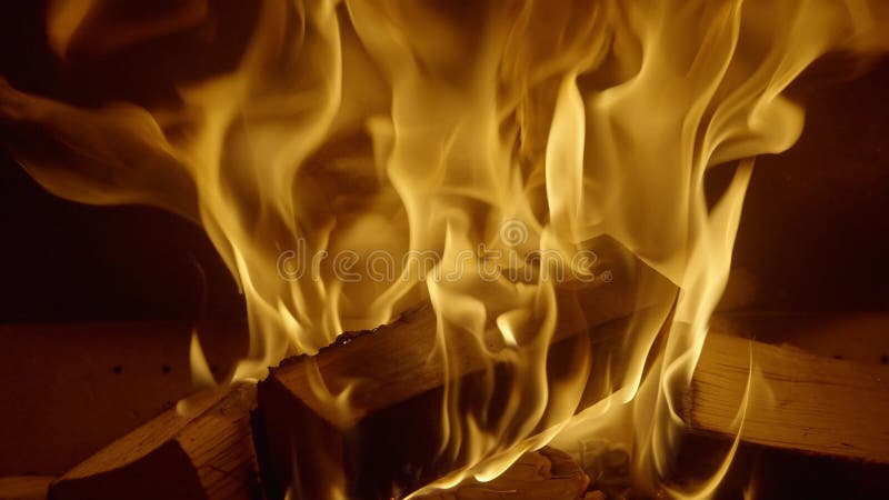 The Fascinating and Captivating Flames are Dancing Gracefully Over the ...