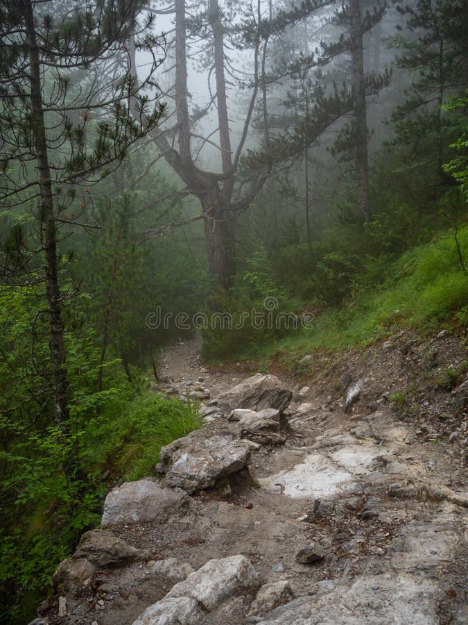 A Fascinating and Difficult Walk while Climbing Mount Olympus in Greece ...