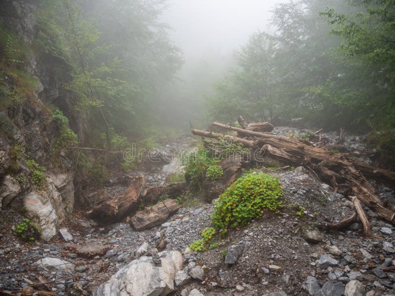 778 Difficult Pathway Stock Photos - Free & Royalty-Free Stock Photos ...