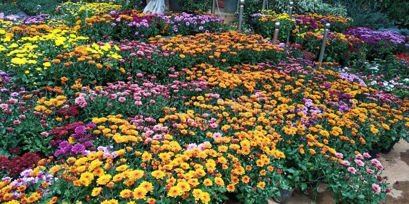 Fascinating and Eye Catching Nature Pics Stock Photo - Image of ...