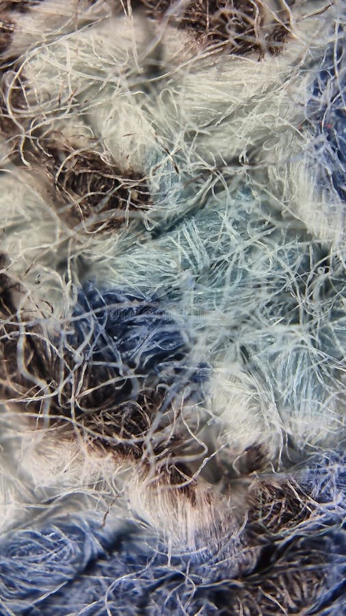 "Cotton Details: a Macro Video of Textiles Under the Microscope" Stock ...
