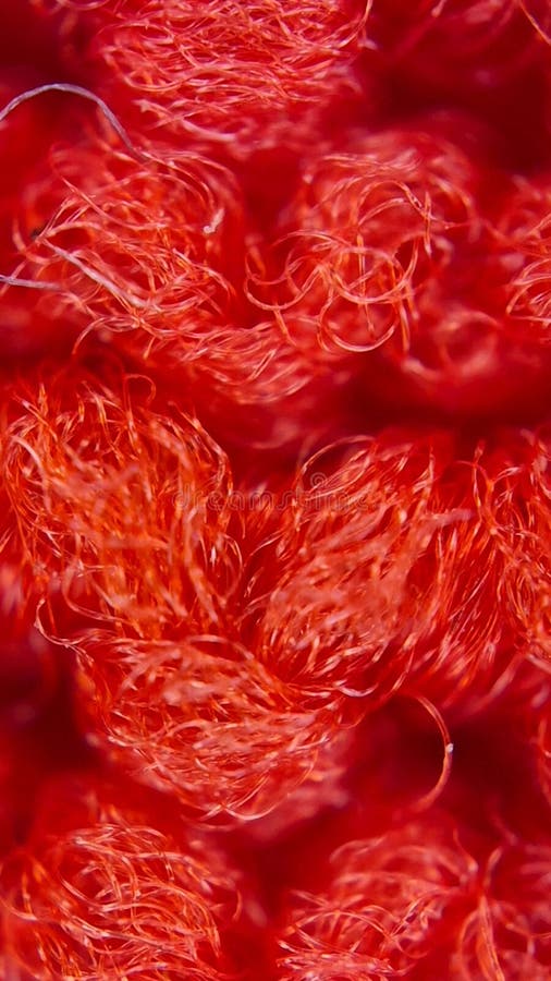 "Cotton Details: a Macro Video of Textiles Under the Microscope" Stock ...