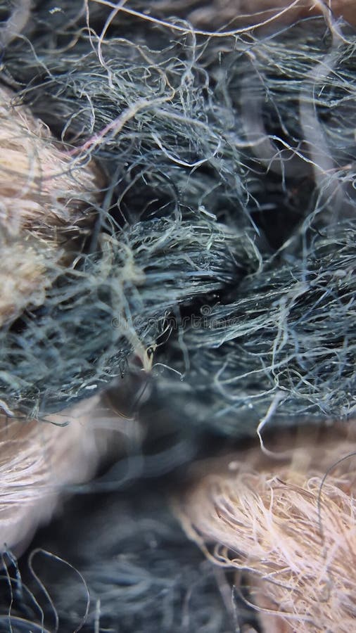 "Cotton Details: a Macro Video of Textiles Under the Microscope" Stock ...