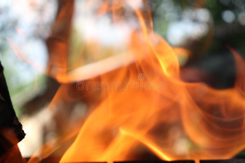 Fascinating Orange Flame of a Fire - the Element on Which You Can Watch ...