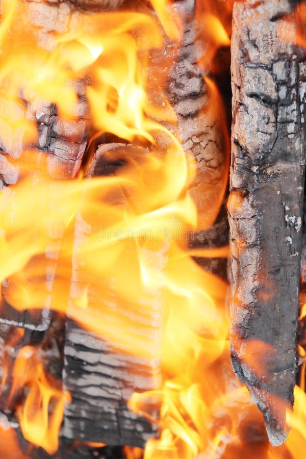 Fascinating Orange Flame of a Fire - the Element on Which You Can Watch ...