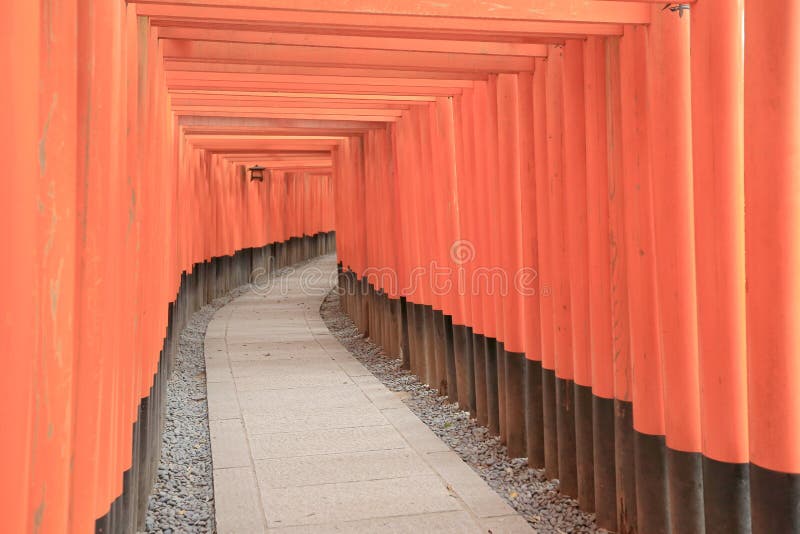 Fascinating Shrine in Japan with Red Gate Stock Photo - Image of pure ...