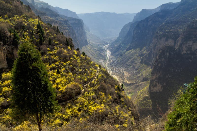 A Fascinating View of the Valley Stock Image - Image of plants ...