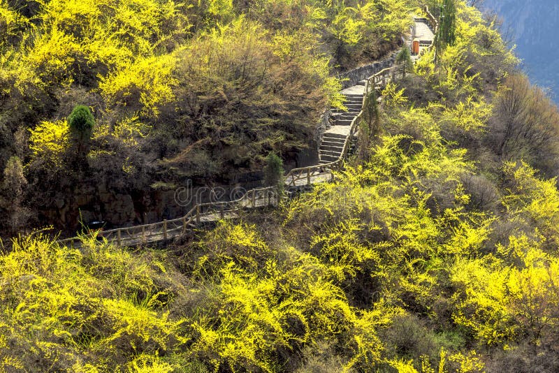 A Fascinating View of the Valley Stock Photo - Image of china, green ...
