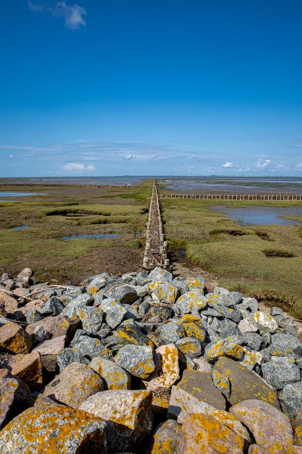 Fascine in Front of the Peninsula Eiderstedt Stock Photo - Image of ...