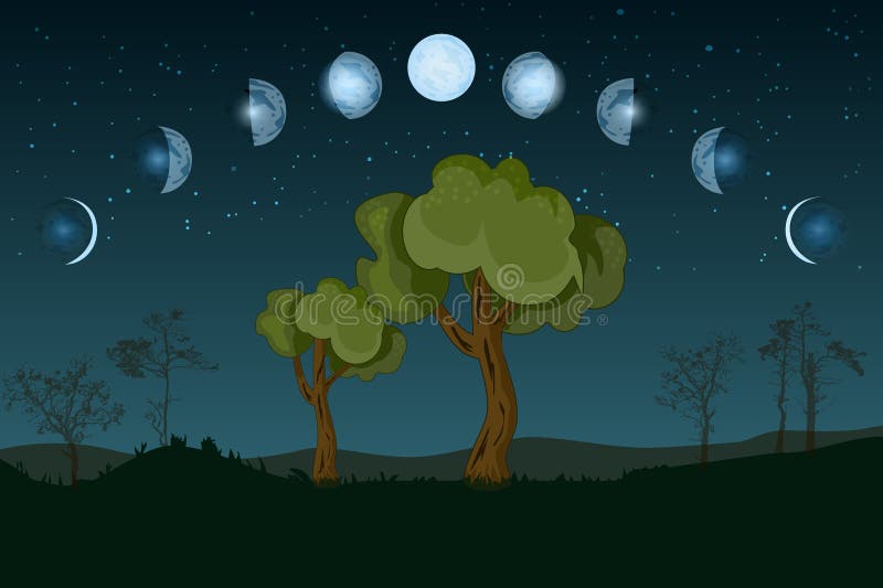 Fases De La Luna Todo El Ciclo De Luna Nueva A Plena Fase De La Luna De Dibujos Animados