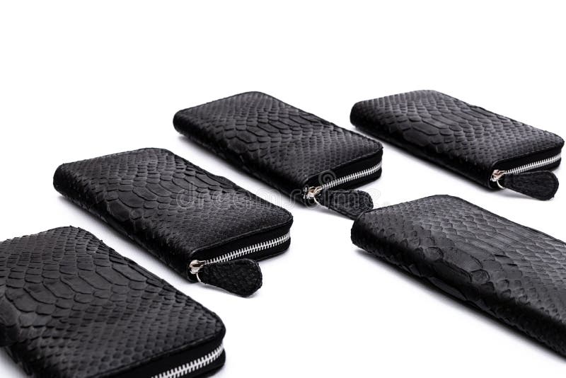 Fashion Luxury Snakeskin Python Black Wallets Isolated on a White ...