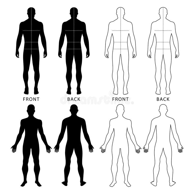 Human Body Outline Front Back Stock Illustrations – 542 Human Body ...