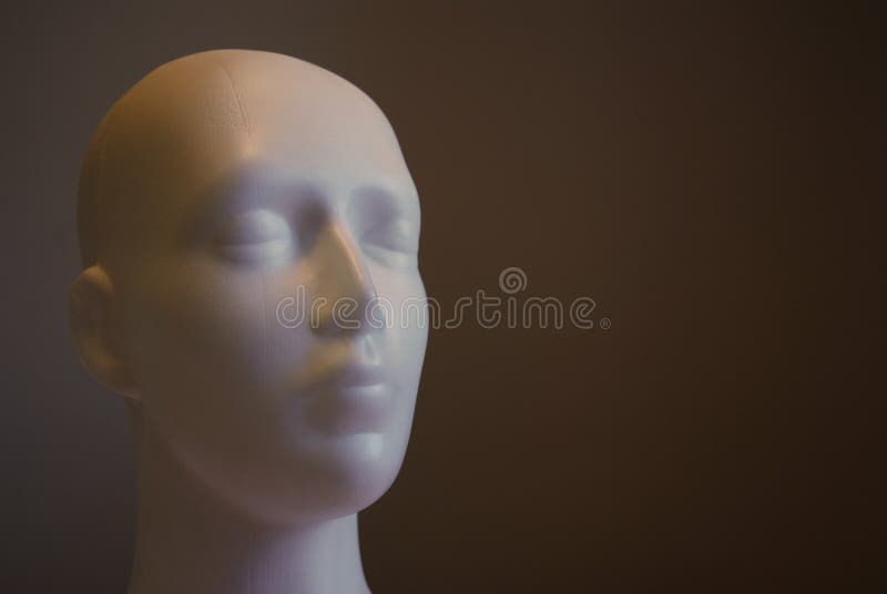 Fashion model white bust stock image. Image of blank, collection - 7254497