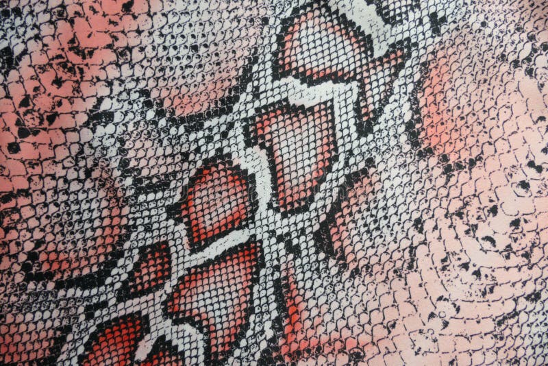 Fashion Red Snake Female Cloth Pattern Stock Image - Image of dress ...