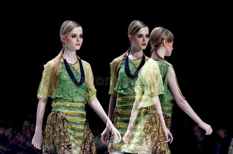 Fashion Show editorial stock photo. Image of dress, indonesia - 254484713