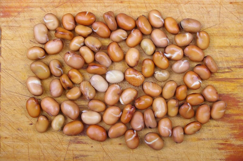 Fasoli faba fava obraz stock. Obraz złożonej z otwarty - 16076827