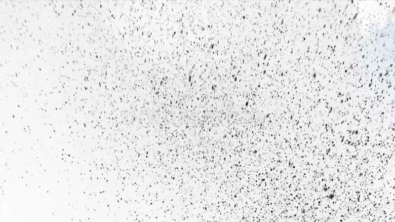 Fast Ascending Millions of Tiny Particles of Dark Dust on a White ...
