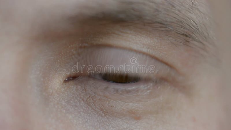 Fast blinking human eye stock video. Video of person - 172805369
