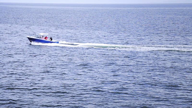 Fast Boat Cutting through Blue Waters Stock Footage - Video of green ...