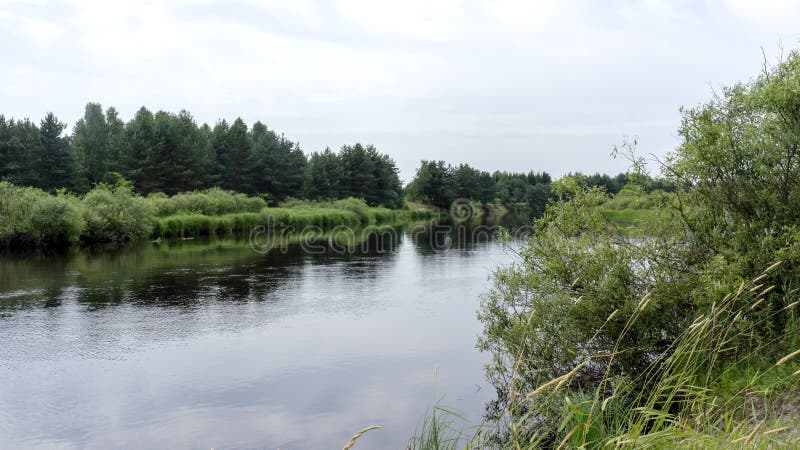 A Fast Clean Stream Runs among Smooth Wet Stones Surrounded by Tall Dry ...