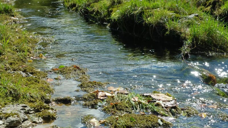 Fast Flow of the River in the Forest, Sun Glare Stock Footage - Video ...