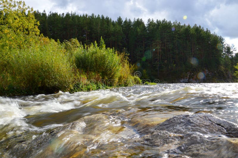 The Fast Flow of a Shallow River among the Green Banks. River Flow ...