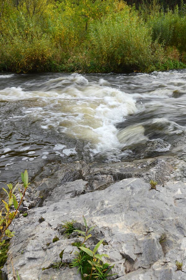 The Fast Flow of a Shallow River among the Green Banks. River Flow ...
