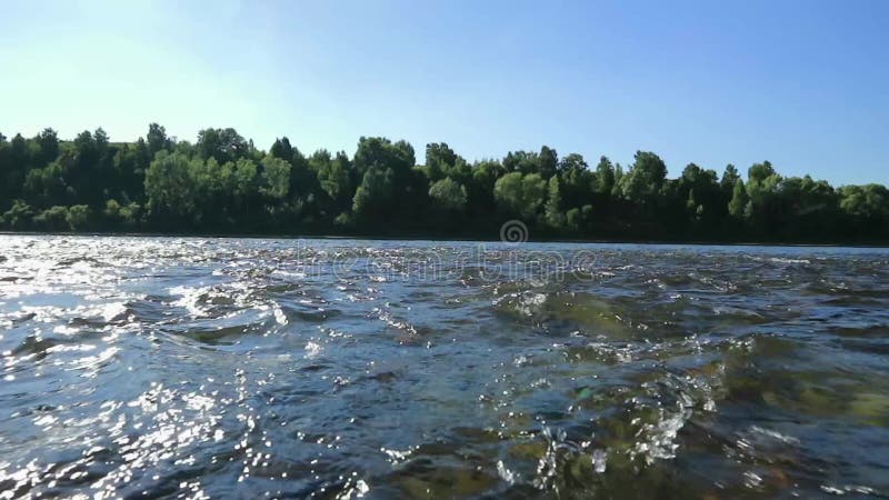 Swift Water Flow in Small Mountain River, Trees Along the River Bank ...