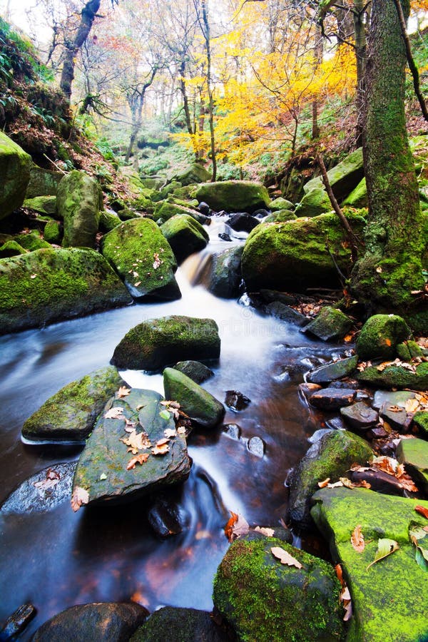 Fast flowing brook stock photo. Image of fast, beauty - 12261956 Fast flowing brook stock photo. Image of fast, beauty - 12261956