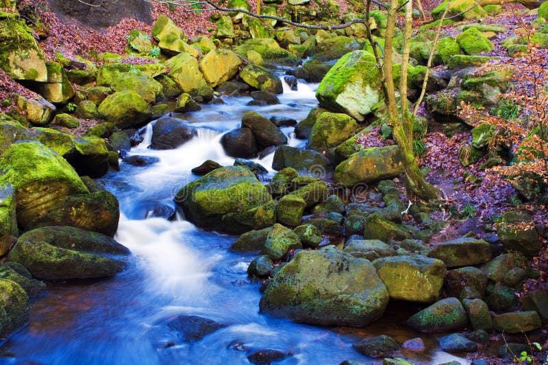 English Babbling Brook stock image. Image of fresh, field - 1418145