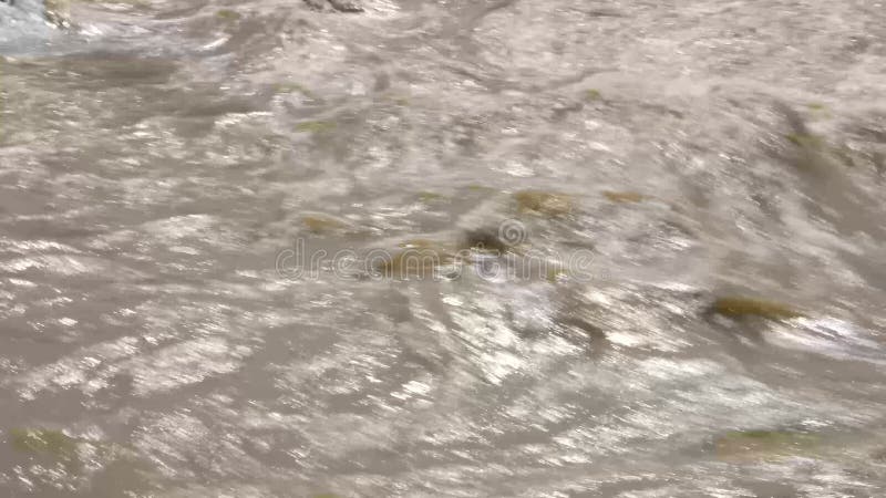 A Fast Flowing Muddy and Turbulent River, Close-up Shot Stock Footage ...