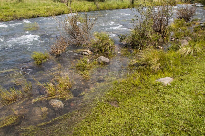 Fast Flowing River Bordered by Natural Vegetation Stock Photo - Image ...