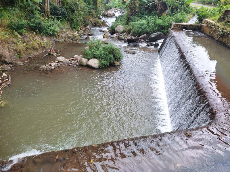 Fast Flowing River Dartmoor River Stock Photo - Image of woodland ...