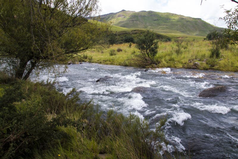 Fast Flowing River Surrounded by Natural Vegetation Stock Image - Image ...