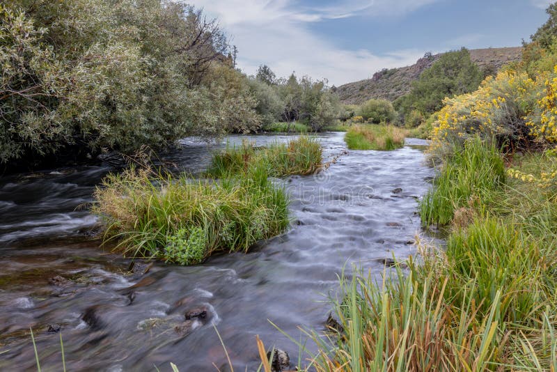 A Fast Flowing Stream in the Dixie National Forest Stock Image - Image ...
