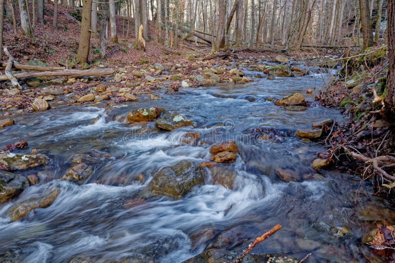 Fast Flowing Stream in a Forest Stock Image - Image of boulder, stream ...