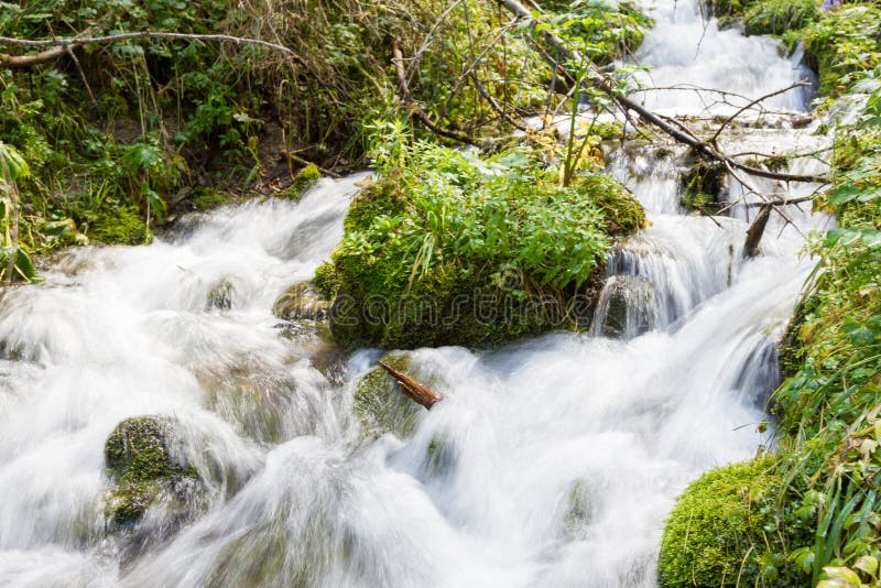 Fast Flowing Stream in the Woods Stock Image - Image of environment ...