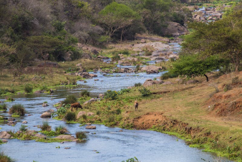 Umgeni Valley Stock Photos - Free & Royalty-Free Stock Photos from ...