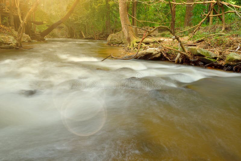 Fast Flowing Water in River. Stock Image - Image of green, landscape ...