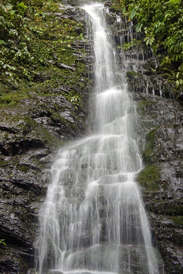 Fast Flowing Water Running Over Rocks in a Small Stream Stock Image ...