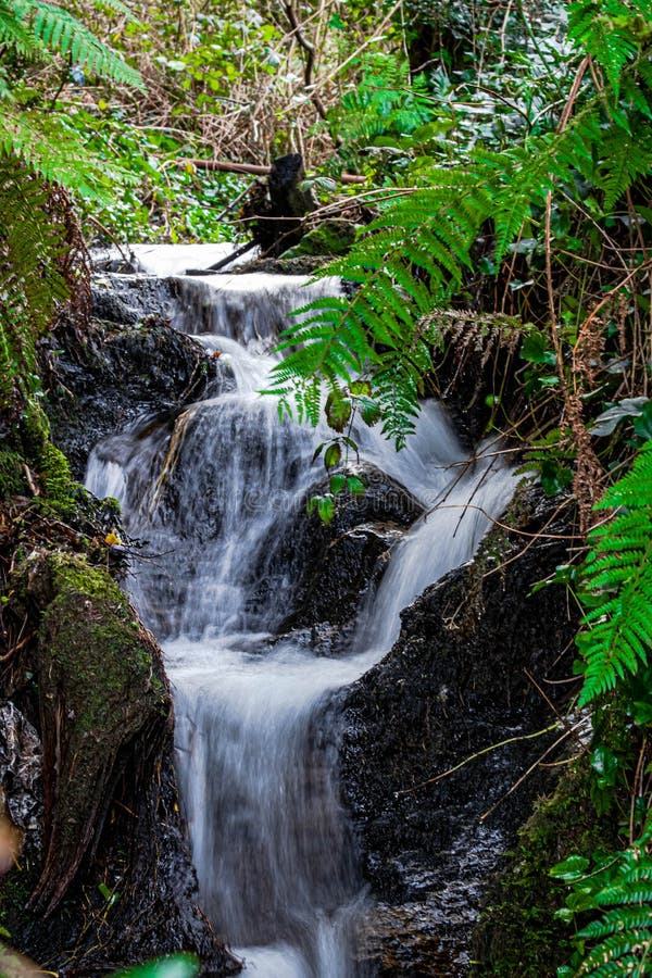 Fast Flowing Water Small Waterfall Hillside Surrounded Greenery Stock ...