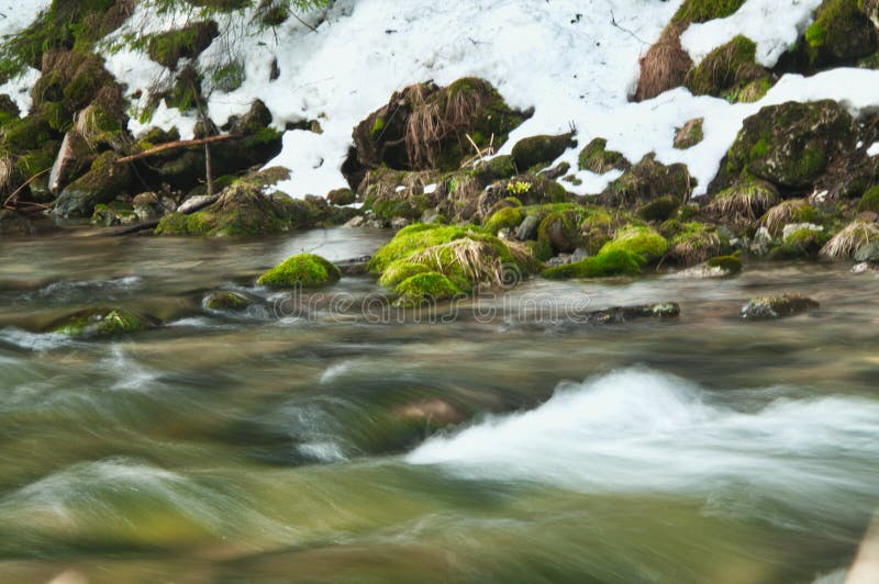 Stream and Stones. Forest River Stock Photo - Image of forest ...