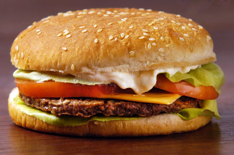 Fast food stock photo. Image of fast, cheese, bacon, potato - 10933546