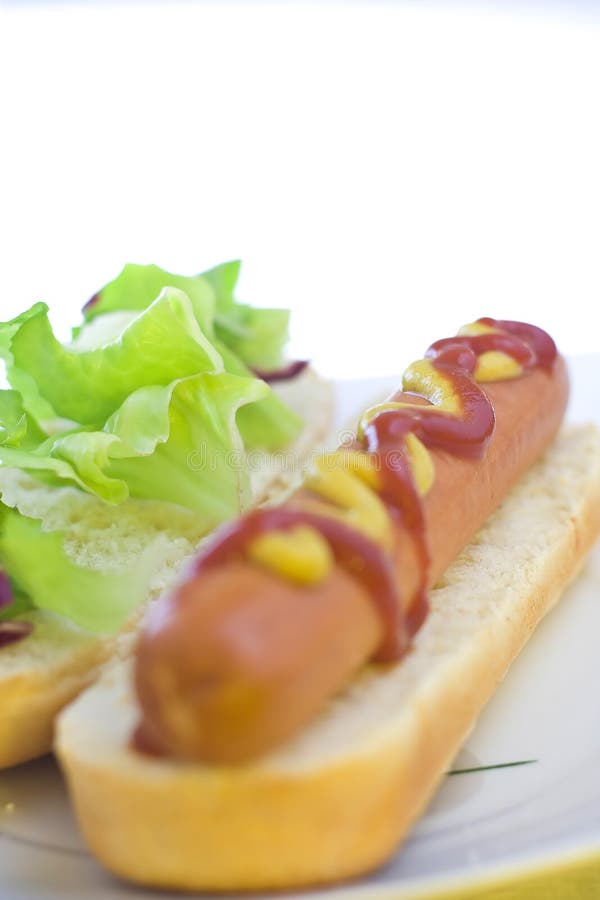 Fast Food Delicious Hot Dog Stock Image - Image of meat, meal: 6957889