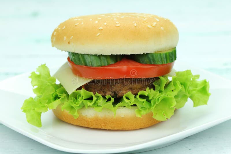 Fast food stock image. Image of food, dish, fast, hamburger - 56732911