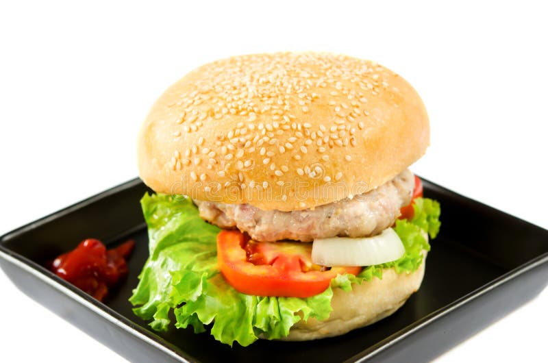 Fast food stock image. Image of tomato, plate, burger - 31780355