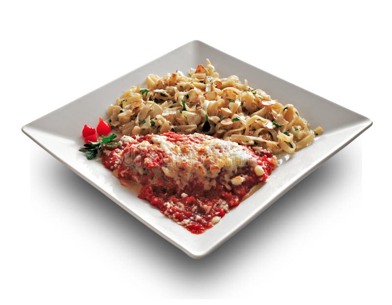 Fast Food stock photo. Image of prepared, food, dinner - 91869182